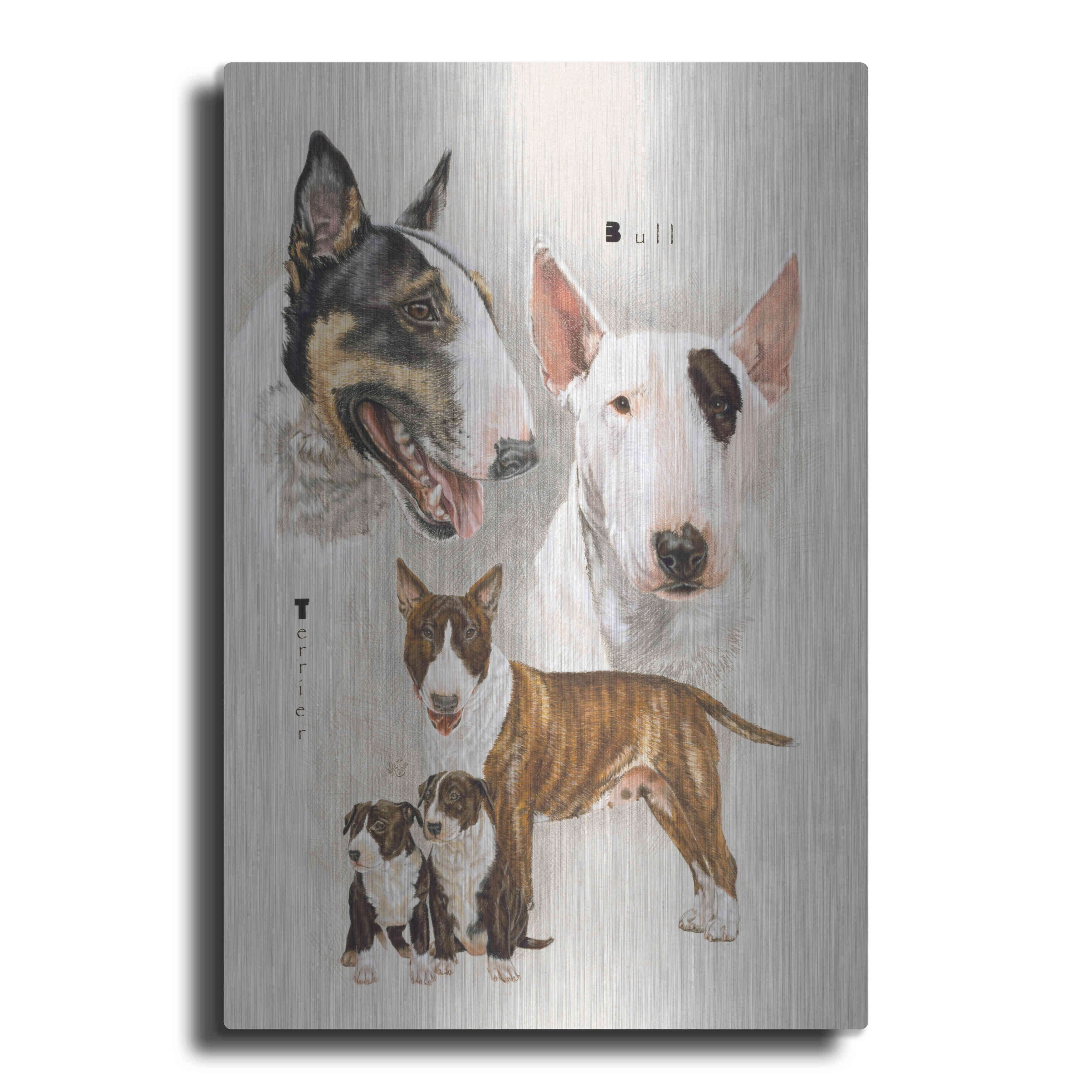 Luxe Metal Art 'Bull Terrier' by Barbara Keith, Metal Wall Art, 12"x16 ...