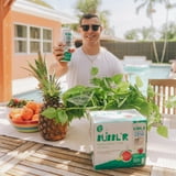 BUBBL'R Antioxidant Sparkling Water Watermelon Lime Smash'r 12 fl oz 6 ...