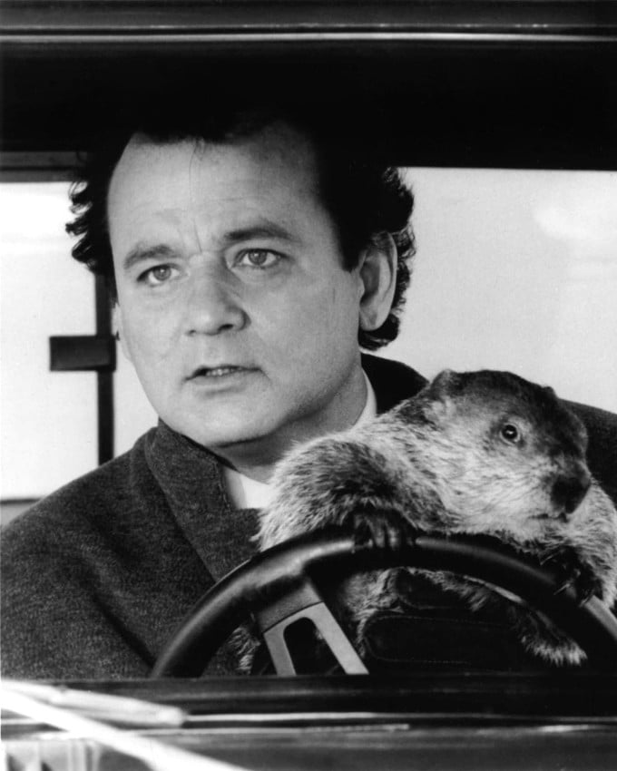 Groundhog Day Bill Murray driving truck with groundhog classic comedy ...