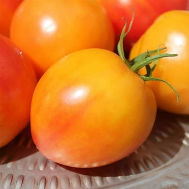 Tims Black Ruffles Heirloom Tomato Premium Seeds Packet - Walmart.com