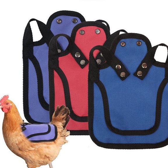 Hen Holster Bird Diaper/Harness (Made in USA) with Removable Vinyl ...