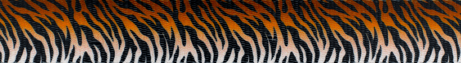 Country Brook Design® 1/2 inch Bengal Tiger Stripe Polyester Webbing, 5 ...