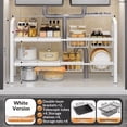 Expandable Under Sink Organizer, 2-Tier Kitchen Storage Rack with 4 ...