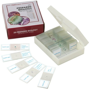 AmScope 10 Prepared and Blank Microscope Glass Slides - Walmart.com