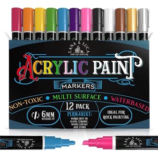 14 Pack Neon Fluorescent Acrylic Paint Pens, Double Pack of Both Extra ...