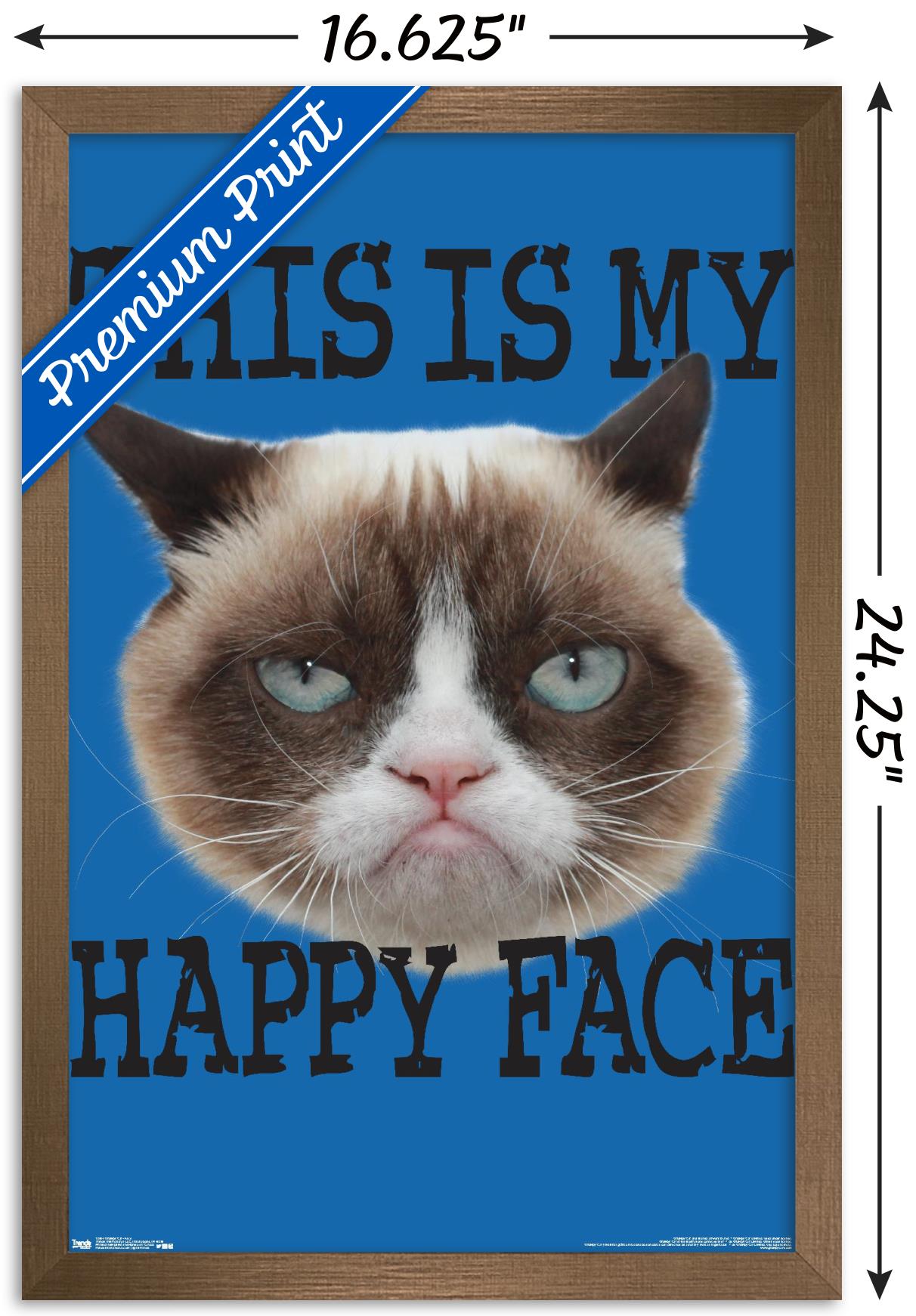Grumpy Cat Happy Wednesday