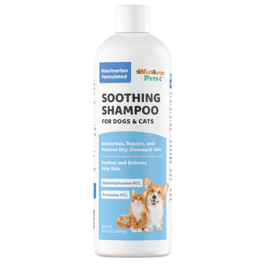 SensoVet Medicated Shampoo for Cats & Dogs - Treats Dandruff, Itchy ...