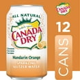 (2 pack) Canada Dry Mandarin Orange Sparkling Seltzer Water, 12 fl oz cans, 12 pack - Walmart.com