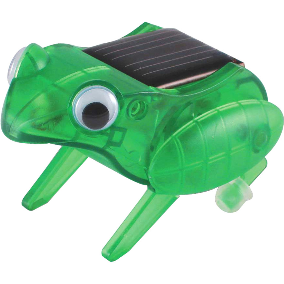 OWI Happy Hopping Frog - Walmart.com