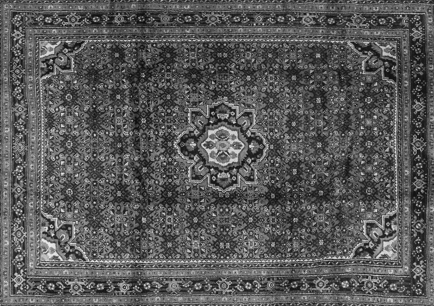 Ahgly Company Indoor Rectangle Persian Gray Traditional Area Rugs, 5' x ...