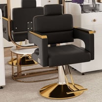 Professional Salon Styling Chair – Reclining Barber Chair with 360 ...