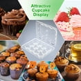 Moclever 20Pcs Cupcake Boxes 12 Count, Disposable Clear Plastic Cupcake ...