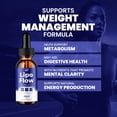 Lipo Flow Liquid Drops – LipoFlow Natural Blend Healthy Organic Support ...