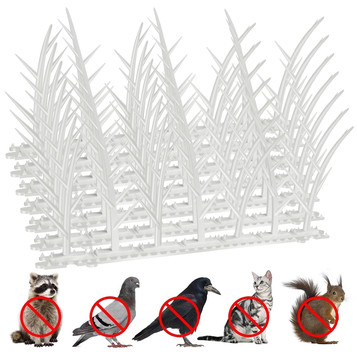 Anti Bird Spikes