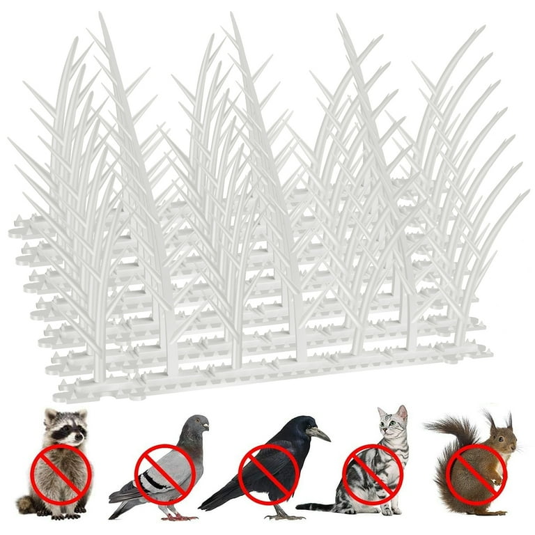 Roof Spikes For Birds