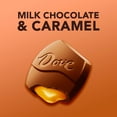 Dove Large Promises Milk Chocolate Caramel Candy, 20 2.75Oz Packs Per ...