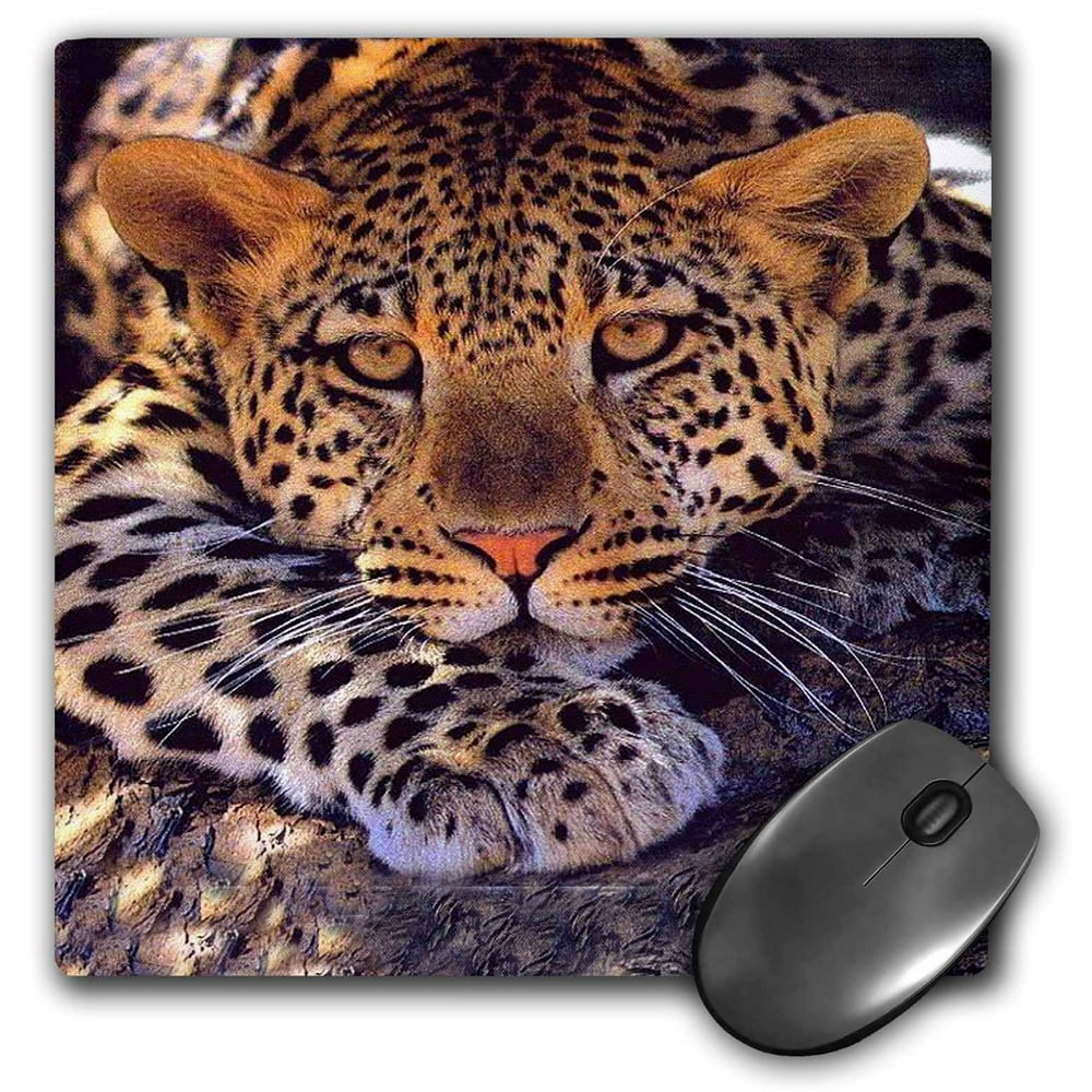 3dRose Leopard, Mouse Pad, 8 by 8 inches - Walmart.com - Walmart.com
