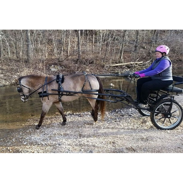 : Mini Carriage (Mini-Cart) Two Wheels with Hydraulic Brakes for Small ...