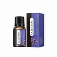 Sujito Clearance Essential Oil 10ml Eternal Aroma Botanical Water