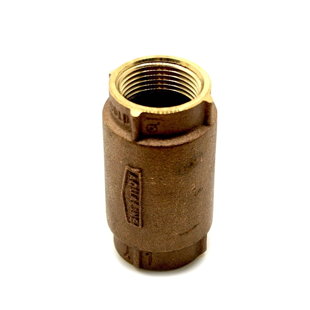 Thrifco 6415403 1 Inch Threaded Brass Swing Check Valve - Walmart.com