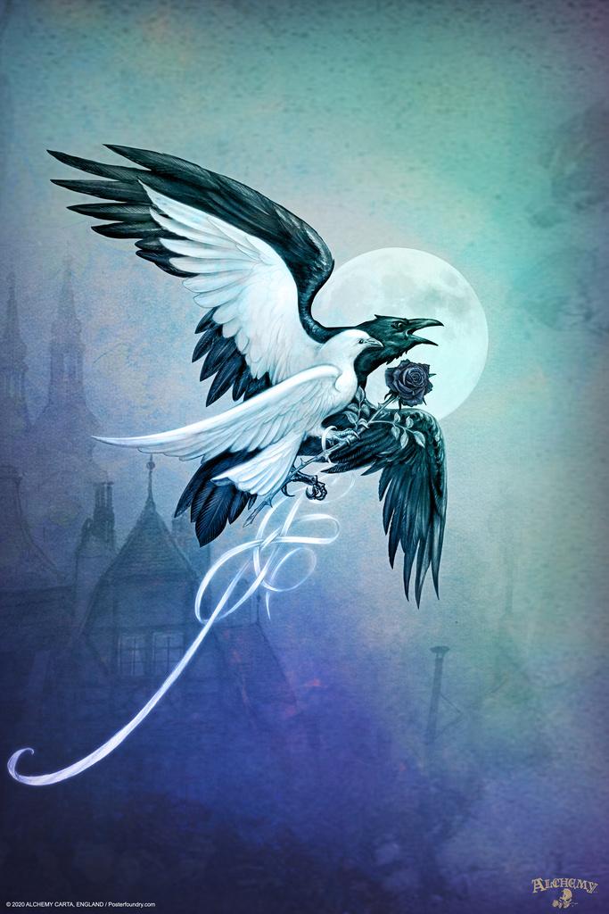 Laminated Saint Corvus Miracle Raven Dove Fantasy Art Bird Pictures ...