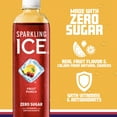 Sparkling Ice Zero Sugar, Fruit Punch Flavored Sparkling Water, 17 Fl Oz Bottle - Walmart.com