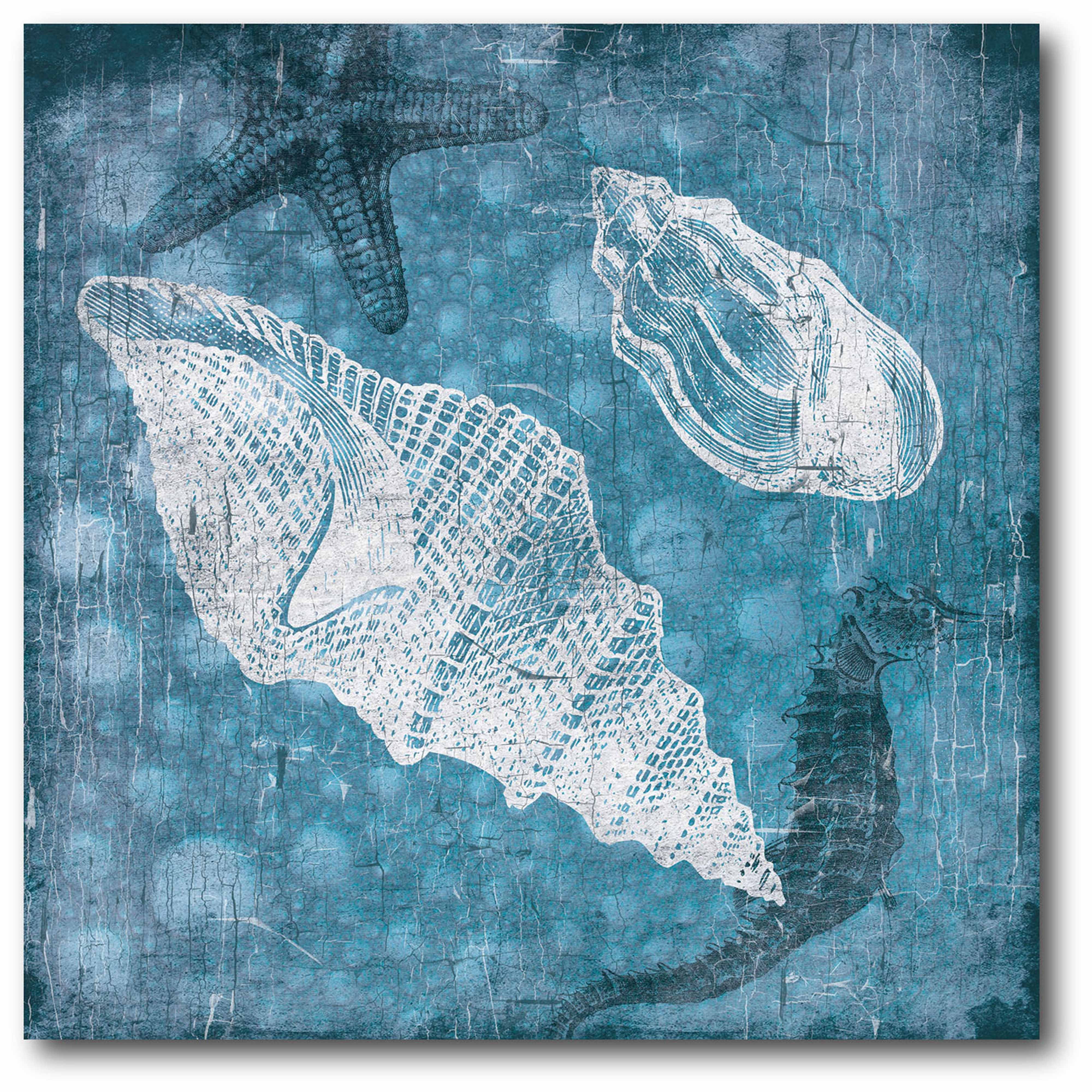 Blue Shells II Gallery-Wrapped Canvas Wall Art, 16x16 - Walmart.com