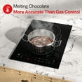 12-in Portable Dual Heating Element 1800-W Countertop Induction Cooktop ...