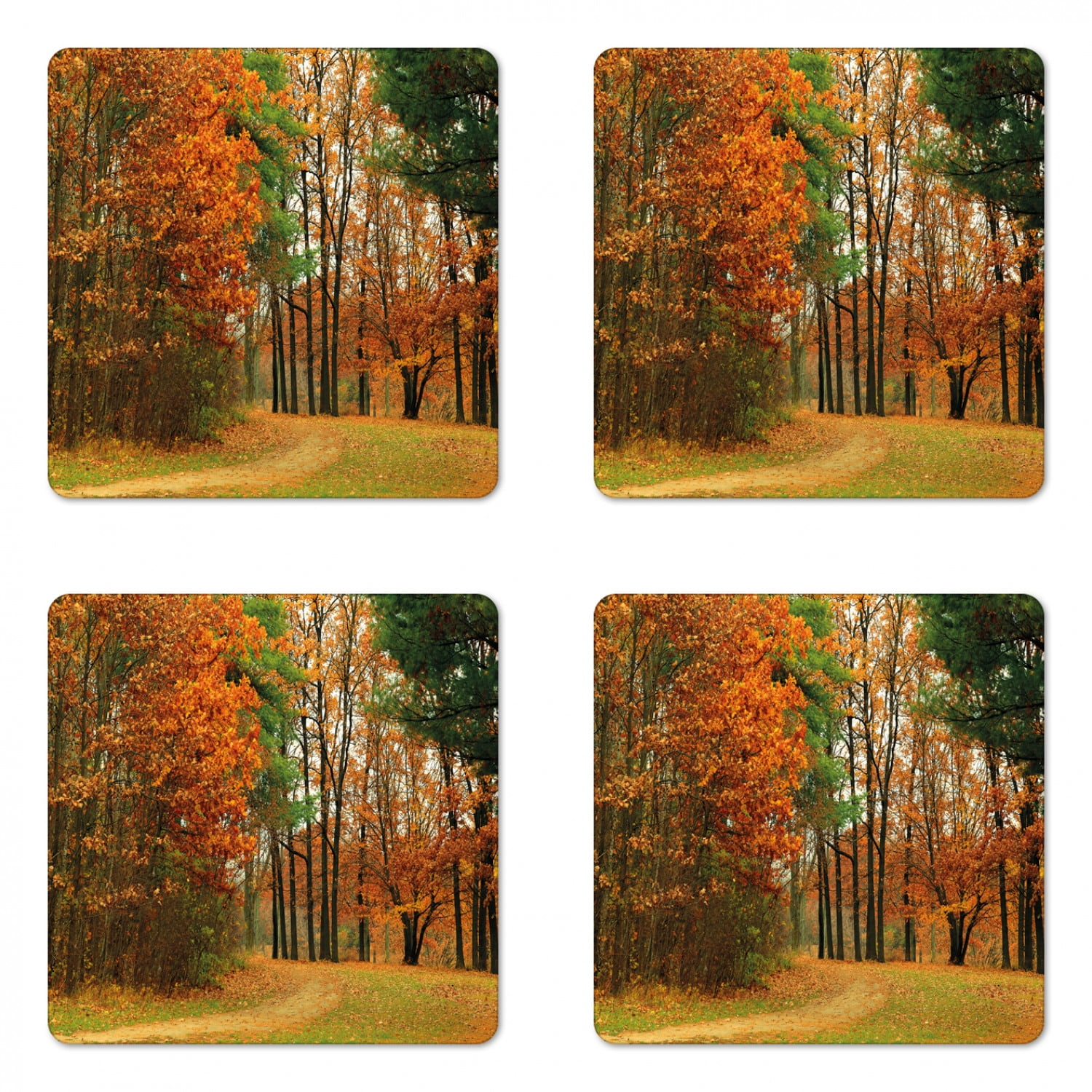 Fall Coaster Set of 4, Cloudy Overcast Day in September Shrubs Pines ...