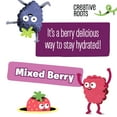 Creative Roots Mixed Berry Naturally Flavored Coconut Water Beverage ...