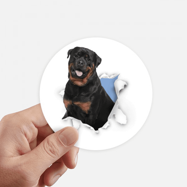 Animal Paper Break Shocks Bad Dogs Sticker Round Wall Suitcase Laptop ...