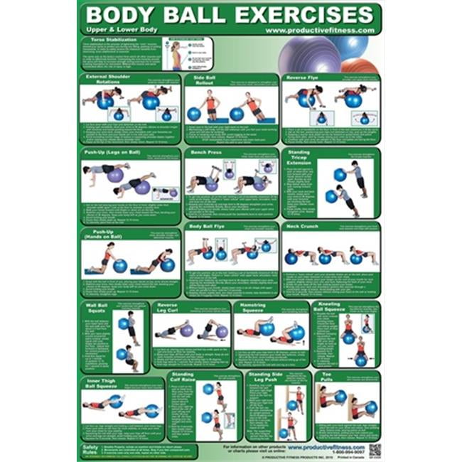 Productive Fitness CBBUL Body Ball Upper- Lower Body - Laminated ...
