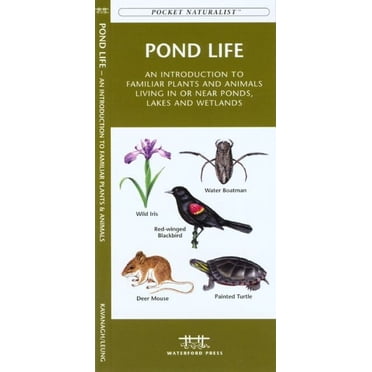 Pocket Naturalist Guides: Georgia Trees & Wildflowers: A Folding Pocket ...