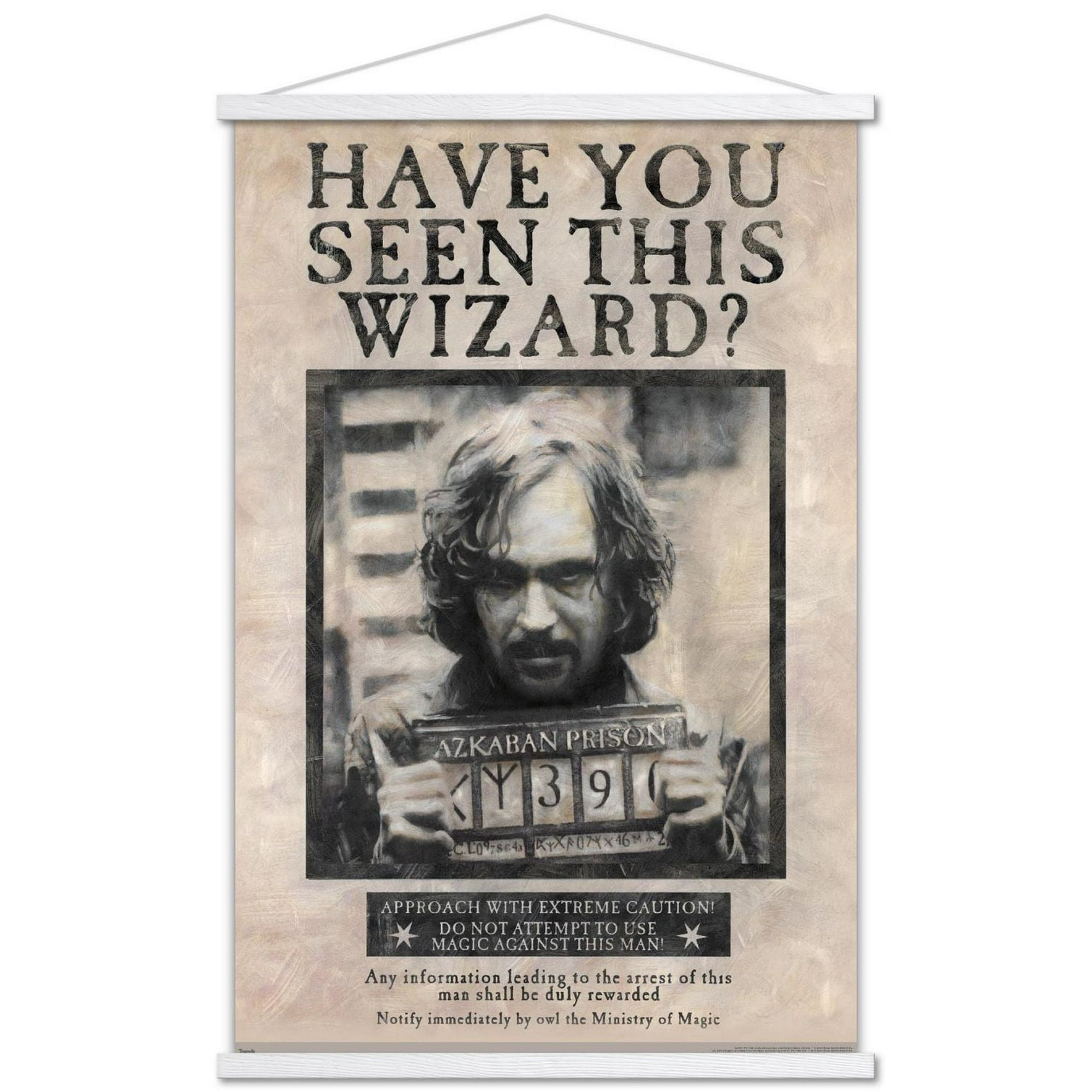 Click here for Trends International The Wizarding World: Harry Po... prices