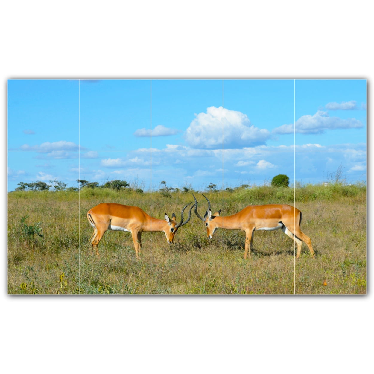 Picture-Tiles.com: Deer Ceramic Tile Wall Mural WAL500466-53XL. 60"W x ...