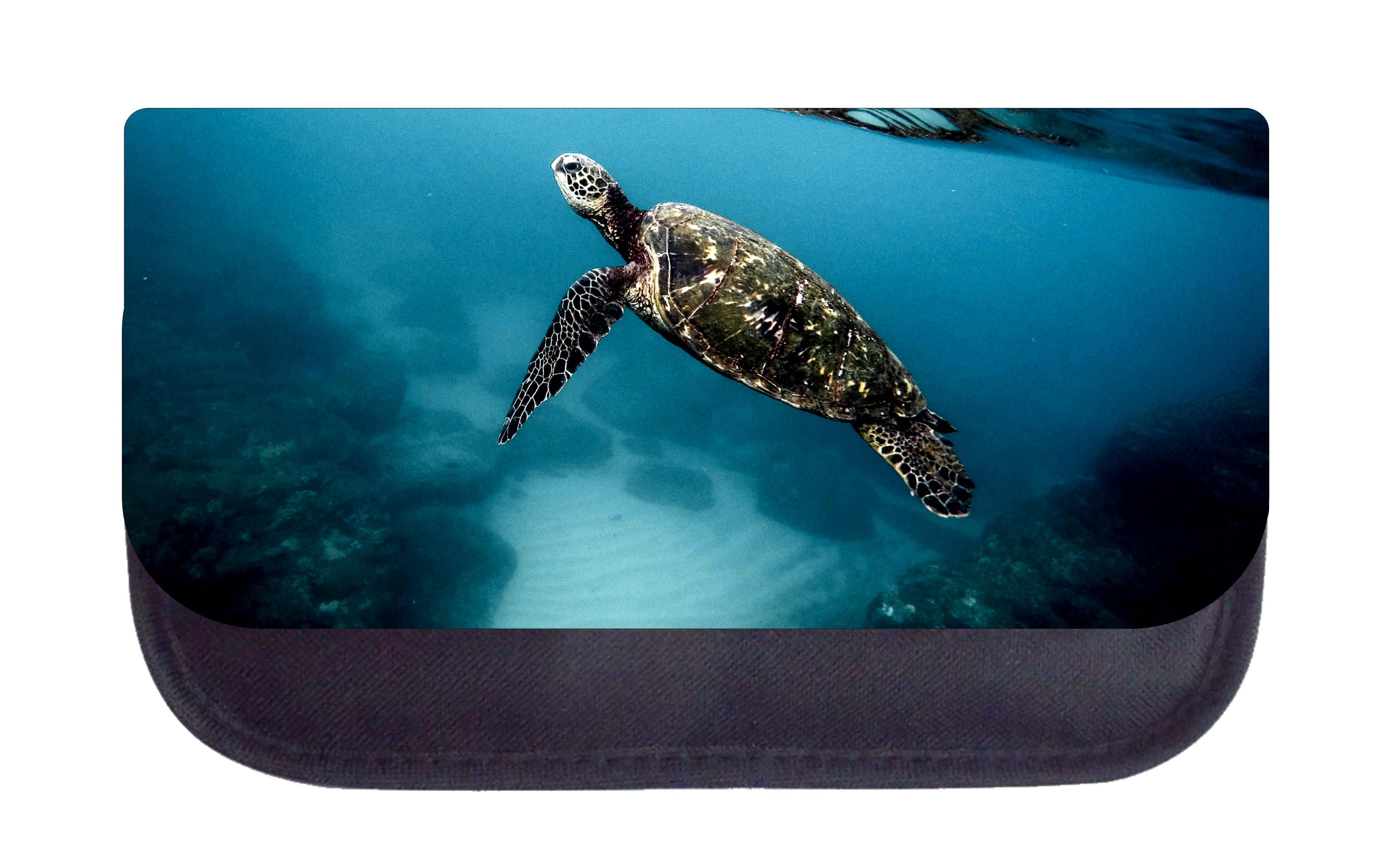 Pencil Case Animal Turtle Underwater Pencil Pouch 2 Pocket Pencil Case ...