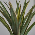 Nearly Natural 30" Plastic Agave Artificial Plant, Green - Walmart.com