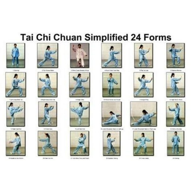 Tai Chi Chuan 24 Forms Poster 24x36 24inx36in Unframed, Age: Adults ...