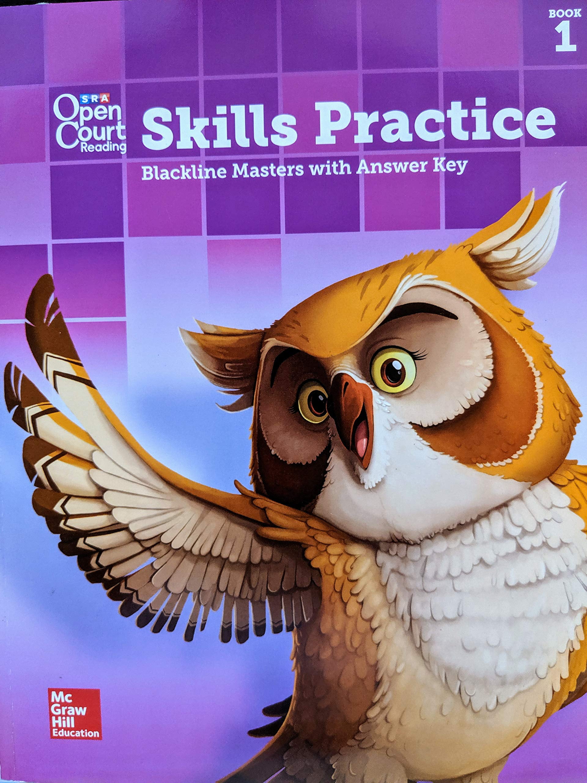 Pre-Owned Open Court Reading Grade 4, Skills Practice Blackline Masters ...