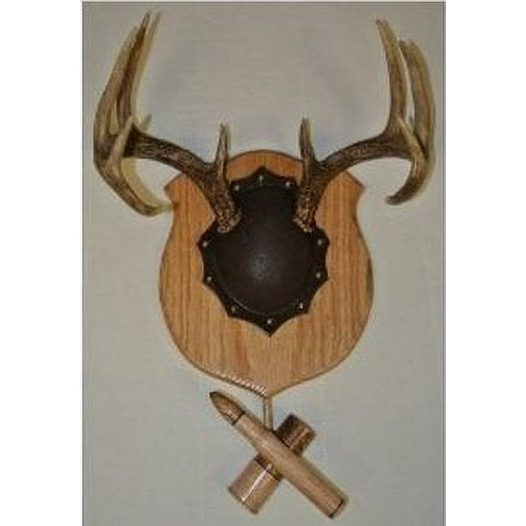 Deer Skull Cap Mount