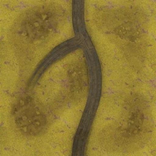 Pripyat Marshes New - Walmart.com