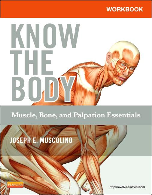 Workbook For Know The Body Muscle Bone And Palpation Essentials Workbook For Know The Body Muscle Bone And Palpation Essentials