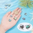 8Pcs 2 Style Abalone Shell/Paua Shell Beads Heart & Teardrop Colorful ...
