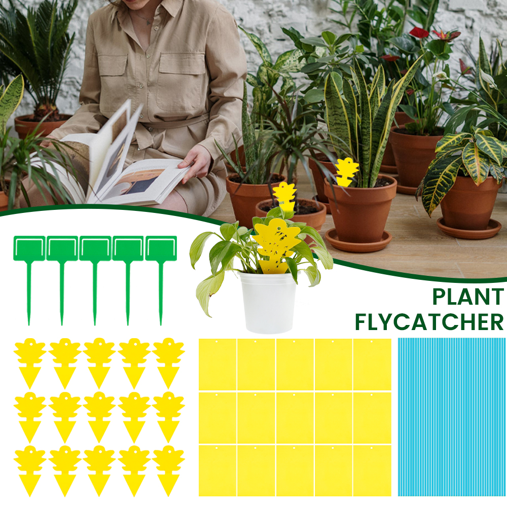 Hands DIY Insect Board Bug Fly Stickers Glue Board Adhesive Traps ...