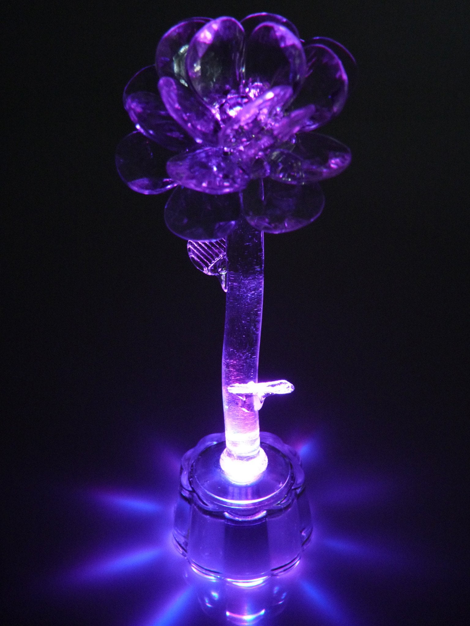 LED Glass Base Light Lamp, 5-1/2-inch, Multi Color, One Flower ...