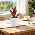 Artificial Potted Plants, Mini Bucket Succulent Potted Plants, for Home ...