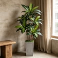 Artificial Dracaena Tree Potted Plant, Faux Dragon Blood Tree for ...