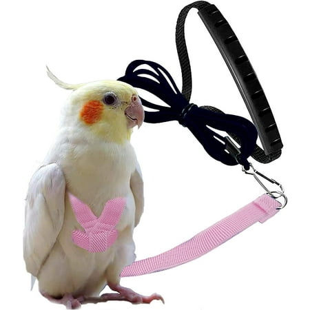 Adjustable Bird Harness With 80 Inch Leash, Outdoor Flying Kit Training ...