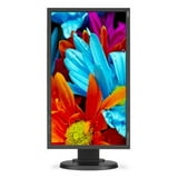 NEC MultiSync E223W-BK - LED monitor - 22" - Walmart.com