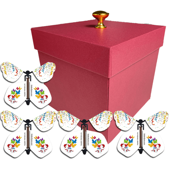 Flying Butterfly Gift Box